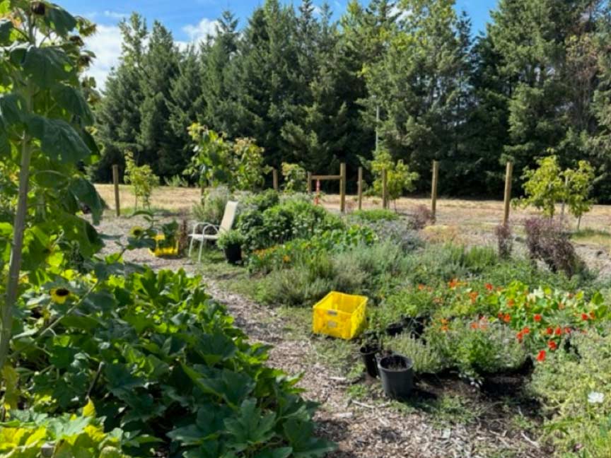 Bybee Lakes Victory Garden / Friends of Trees Planting - VetREST
