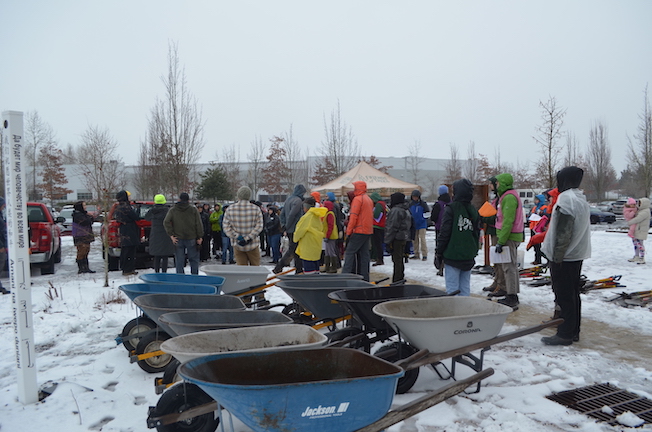 Bybee Lakes Victory Garden / Friends of Trees Planting - VetREST